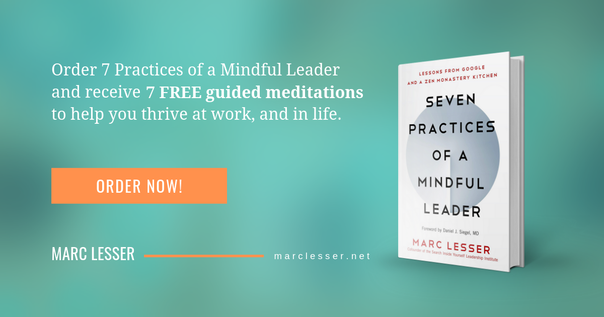 Seven Practices of a Mindful Leader: book by Marc Lesser